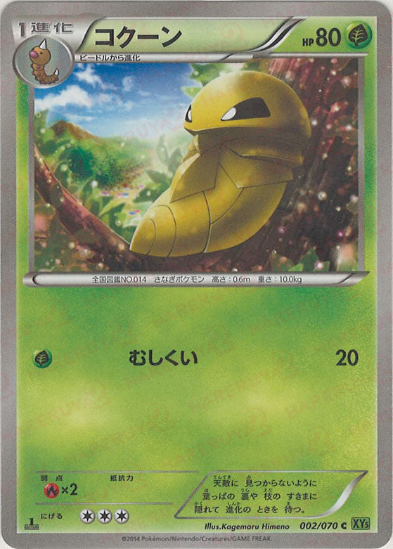 コクーン(C){草}〈002/070〉[XY5-l] – 晴れる屋2 なんば店