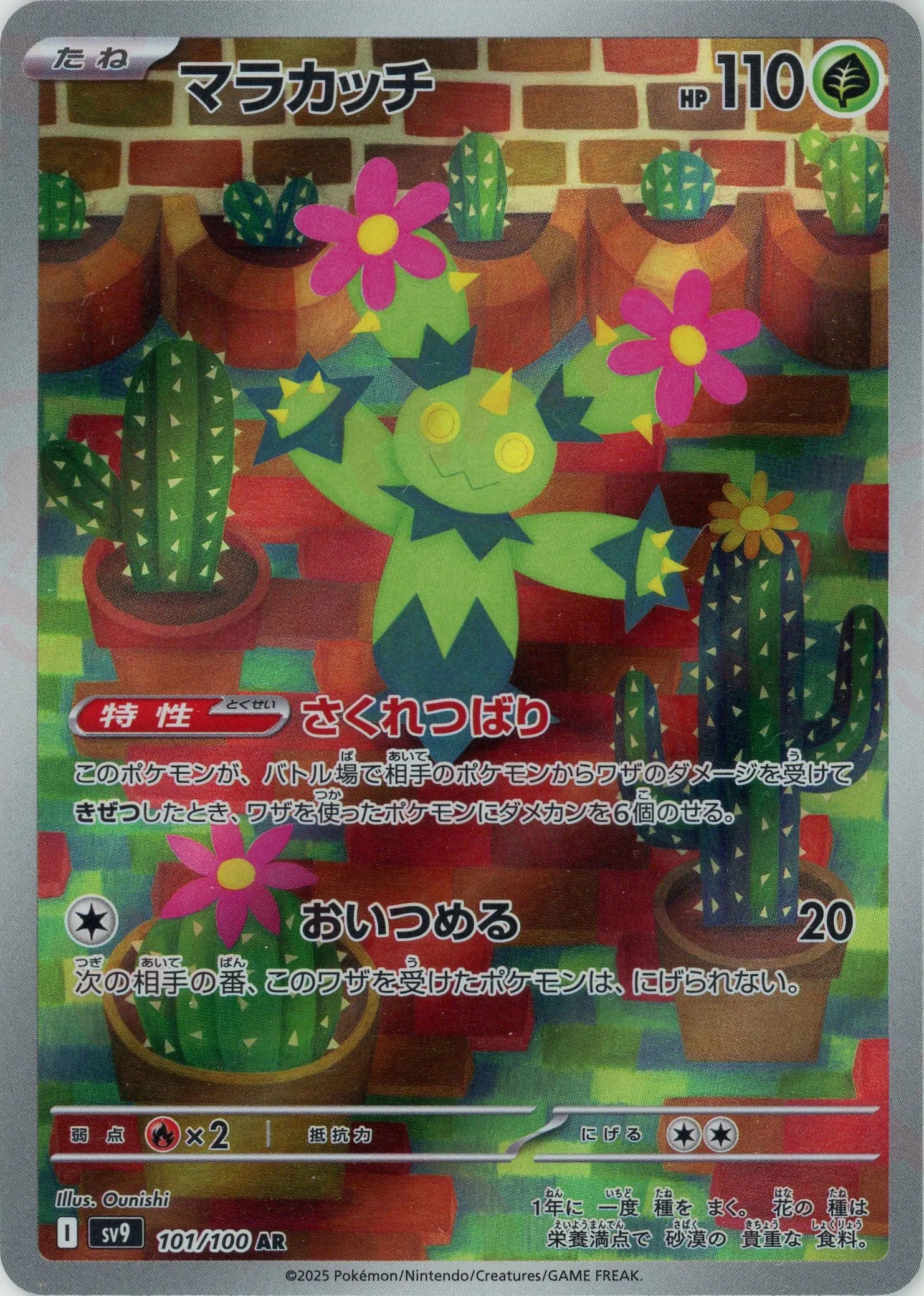 マラカッチ(AR){草}〈101/100〉[SV9] – 晴れる屋2 なんば店